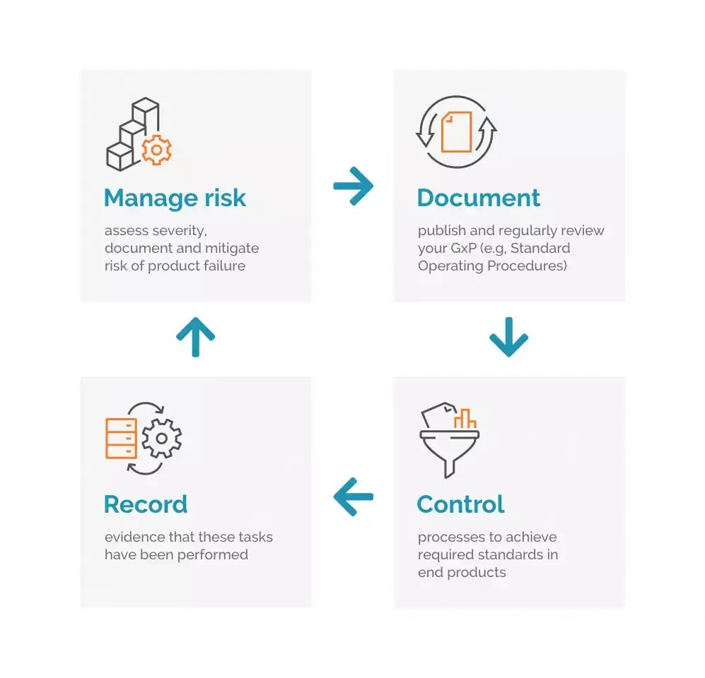 GXP compliance: everything you need to know